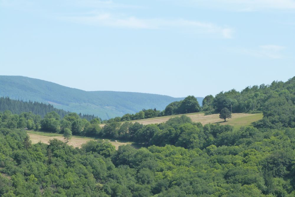 WANDERUNG LE SENTIER DU TERRIER - Wanderung Okzitanien - bergfex