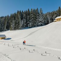 Touren - BERGFEX - Bad Aussee - Winterwandern Bad Aussee