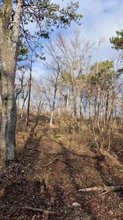 Kiental-Route - Mountainbike Niederösterreich - bergfex