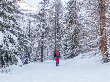 Snowshoe itinerary: Baraque des Douaniers - Schneeschuh Auvergne-Rhône ...