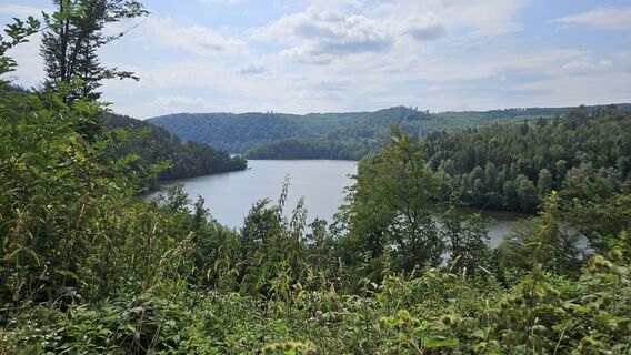 Rund um den Stausee Dobra - Wanderung Niederösterreich - bergfex